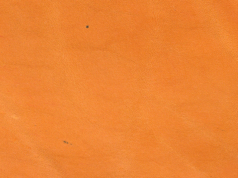 Amarillo Paja.jpg (Image #2 of 11)