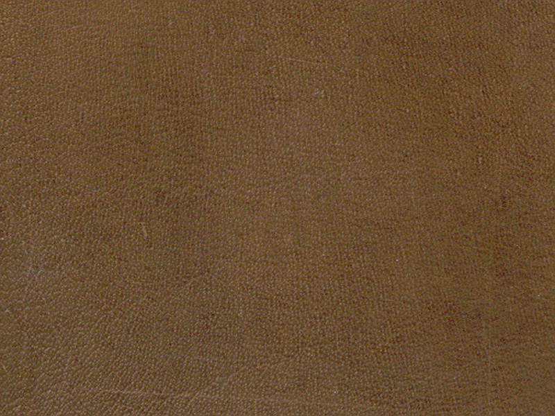 Cafe Bajito.jpg (Image #3 of 11)