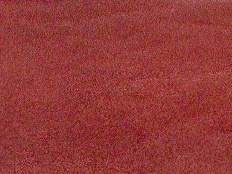 Chedron Hormiga.jpg (Image #6 of 11)